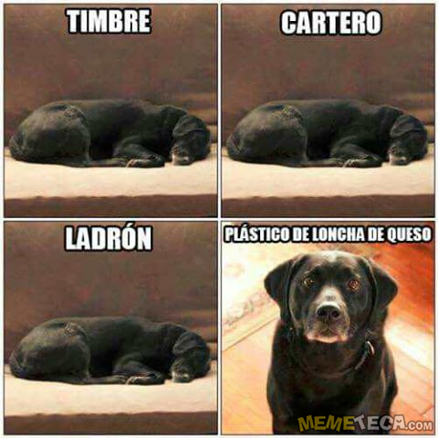 Memes de humor : página 608 | Memeteca.com