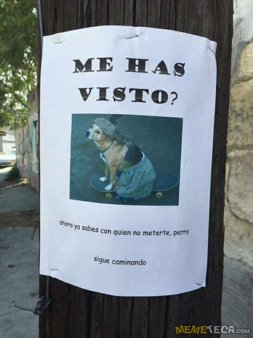 Memes de humor : página 592 | Memeteca.com