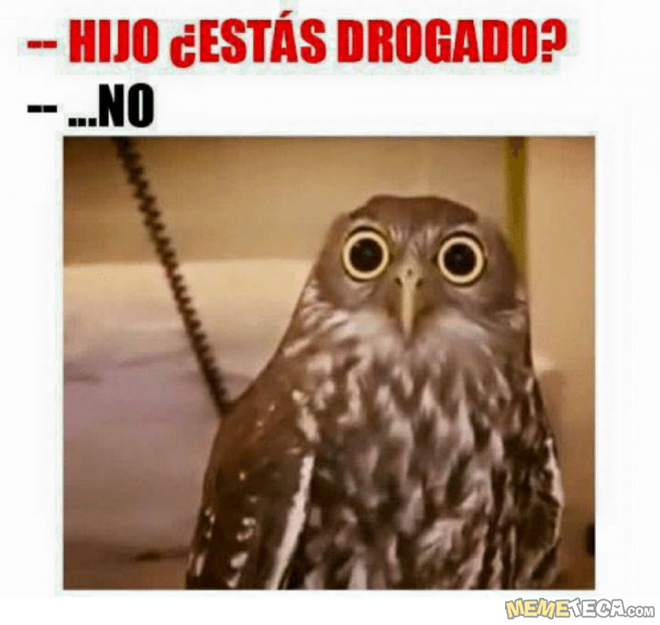 Hijo, estás drogado? | Memeteca.com