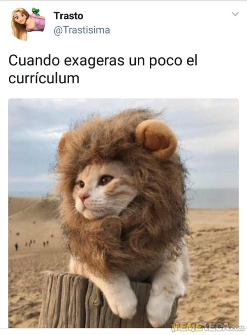 Memes de humor : página 343 | Memeteca.com