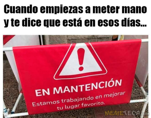 Memes de humor : página 306 | Memeteca.com