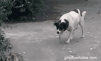 Que a gusto esta el cabrón, Pues toma bocao! | Memeteca.com